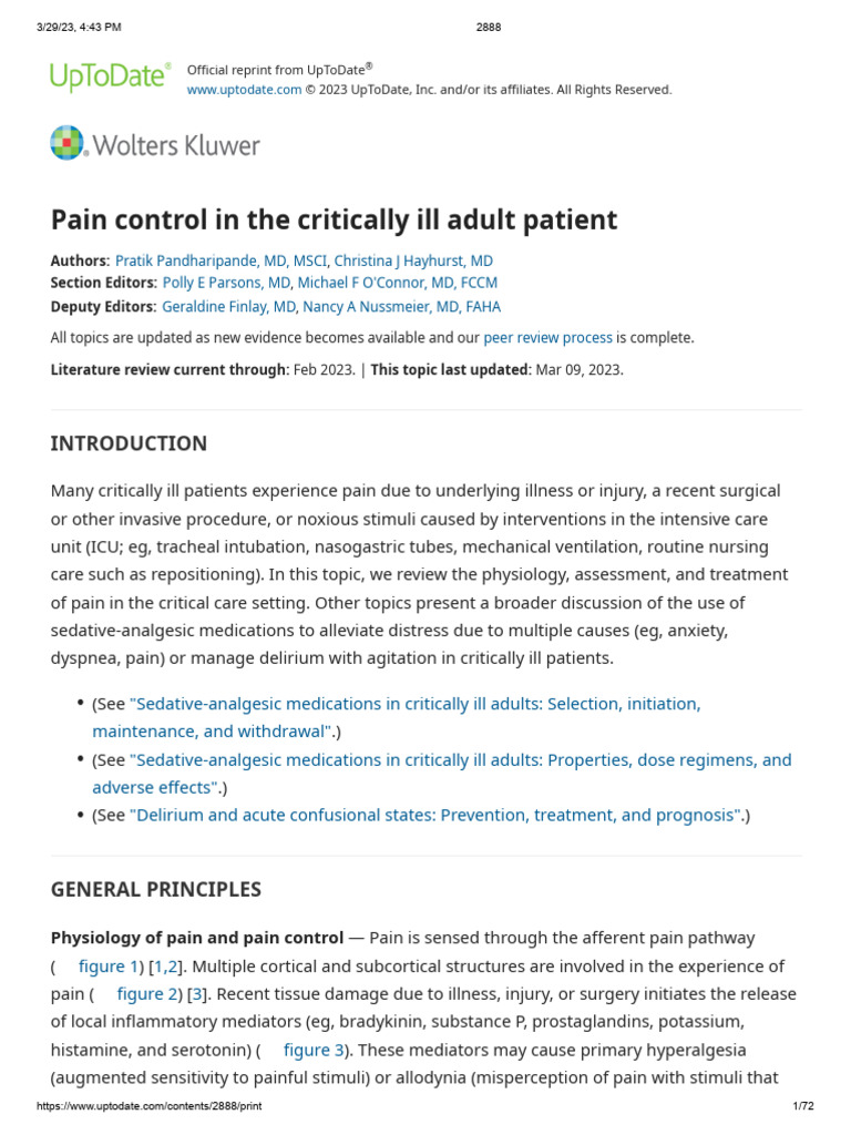 Pain Control in The Critically Ill Adult Patient | PDF | Opioid | Analgesic