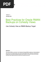 Cohesity Oracle RMAN Solution Guide | PDF | Backup | Databases