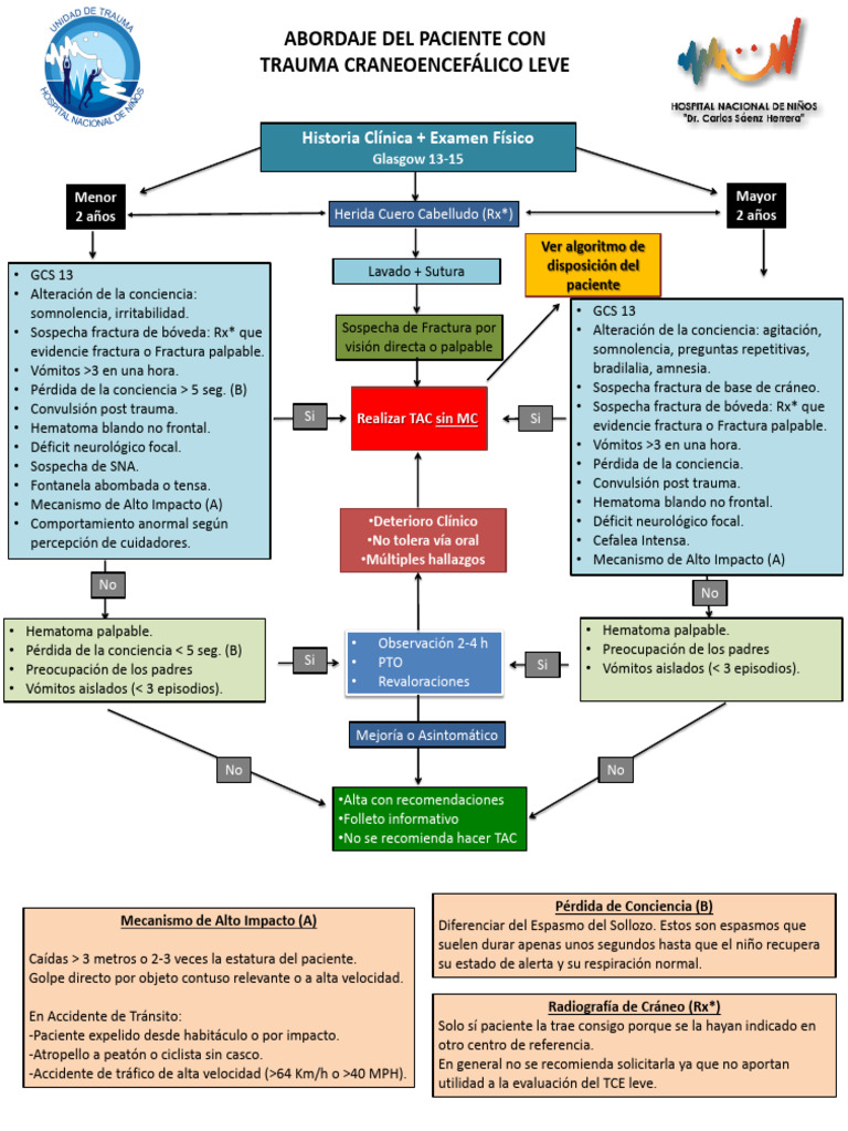 Abordaje Del Paciente Con TCE Leve | PDF