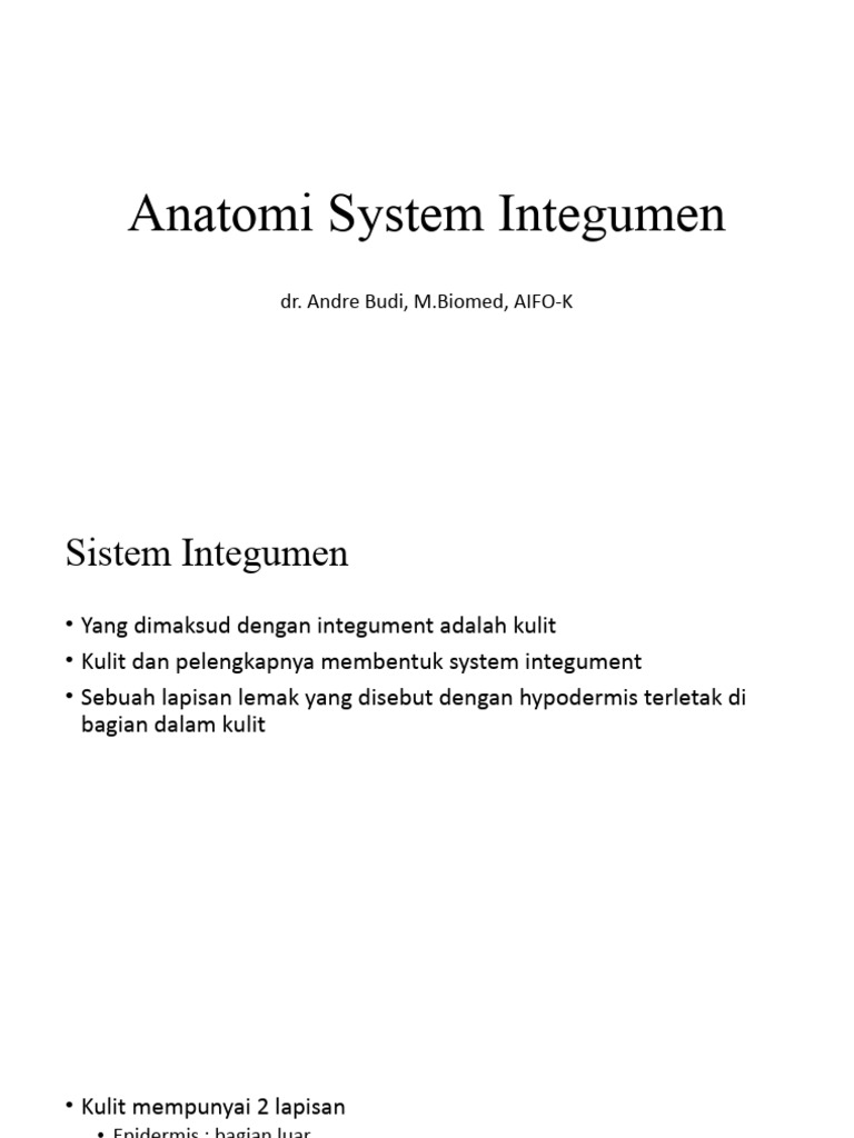 Anatomi Sistem Integumen | PDF