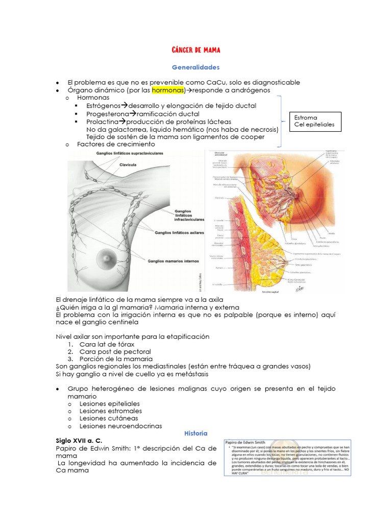 Parcial 3 Onco | PDF