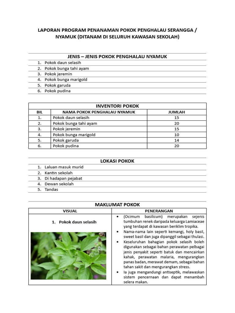 Laporan Program Penanaman Pokok Penghalau Serangga | PDF