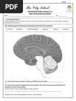 The City School Science Past Paper MS 2023-2024 | PDF | Weight | Eclipse