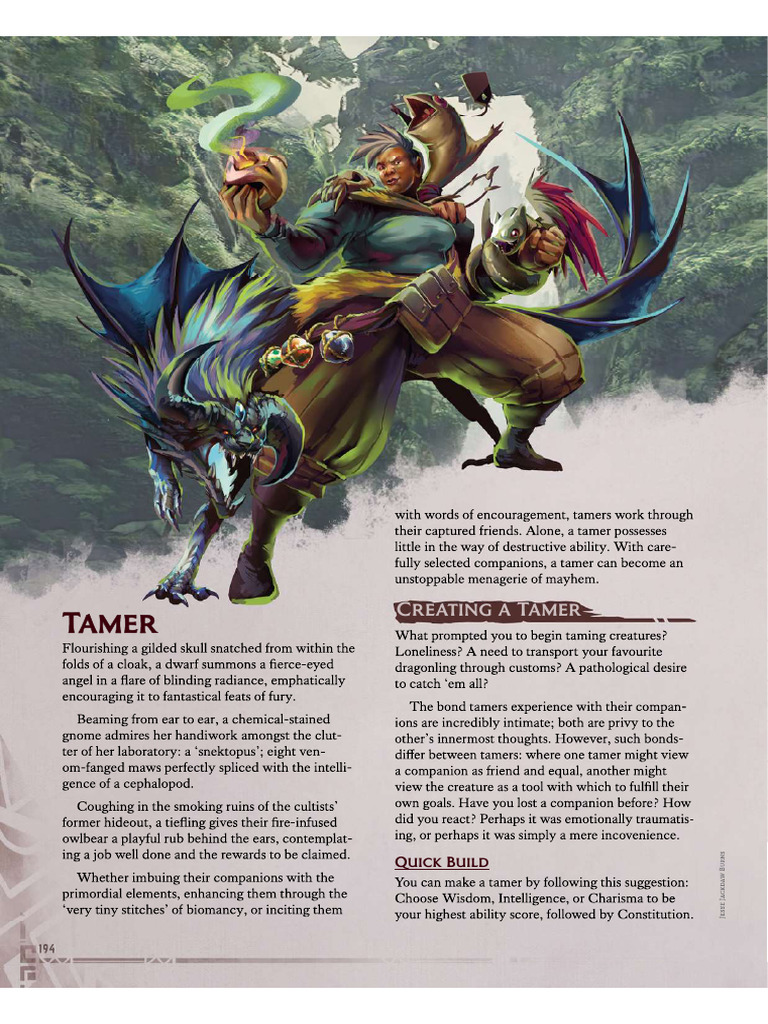 Tamer | PDF
