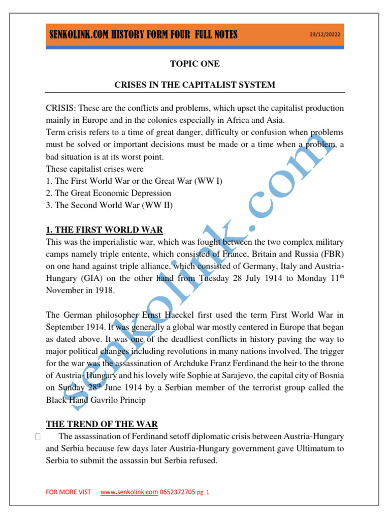 History Form Four Notes Senkolink 0652372705 | PDF | Great Depression ...