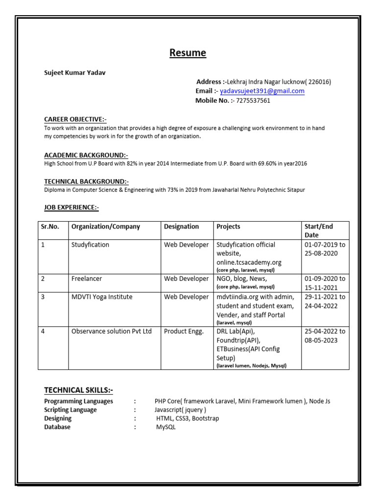 Sky-resume-1 1 | PDF | Software Development | Software Engineering
