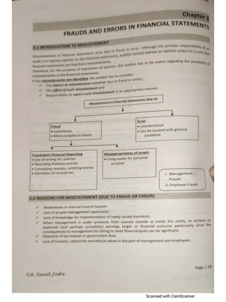 Fraud and Errors | PDF