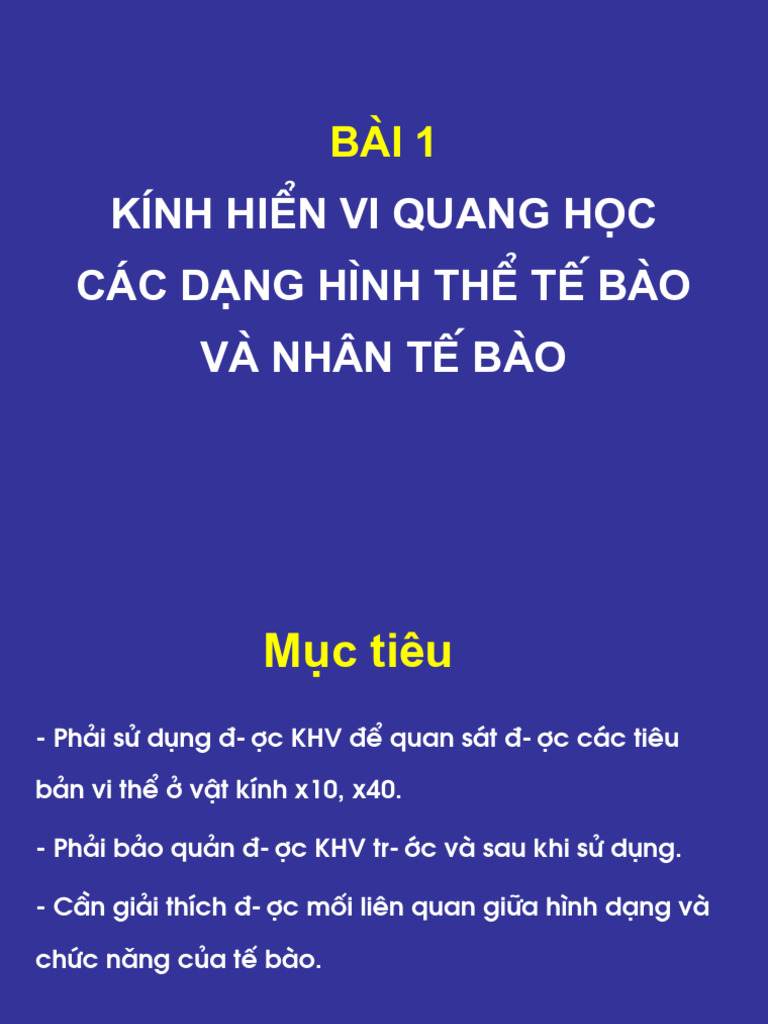 Bai 1 KHV | PDF