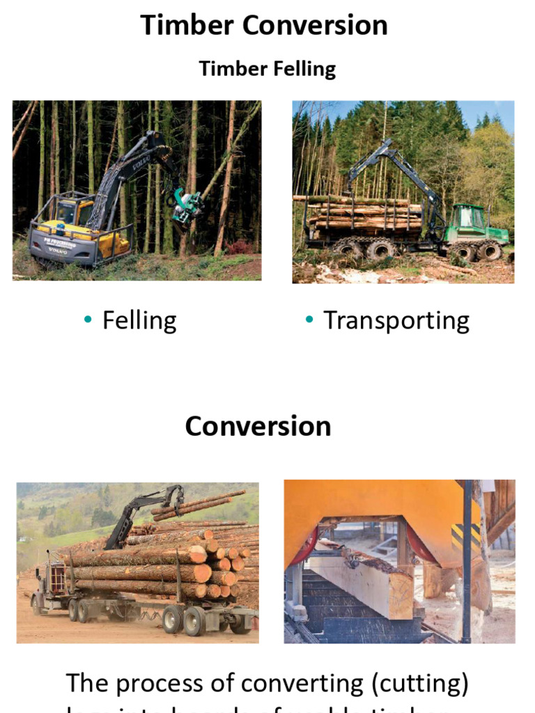 Tmber Conversion | PDF