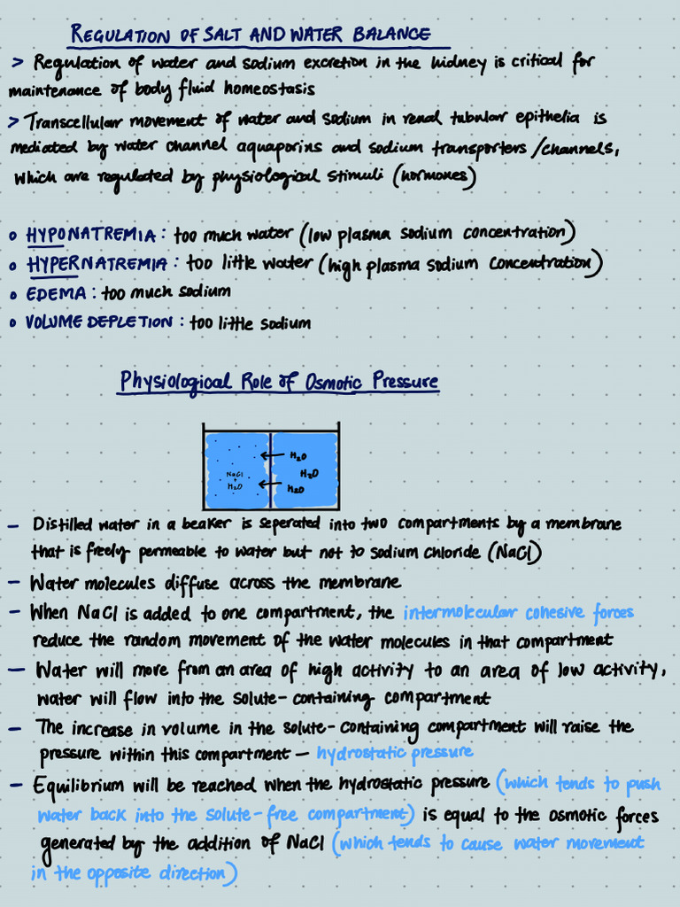 Notes_231023_123935 | PDF