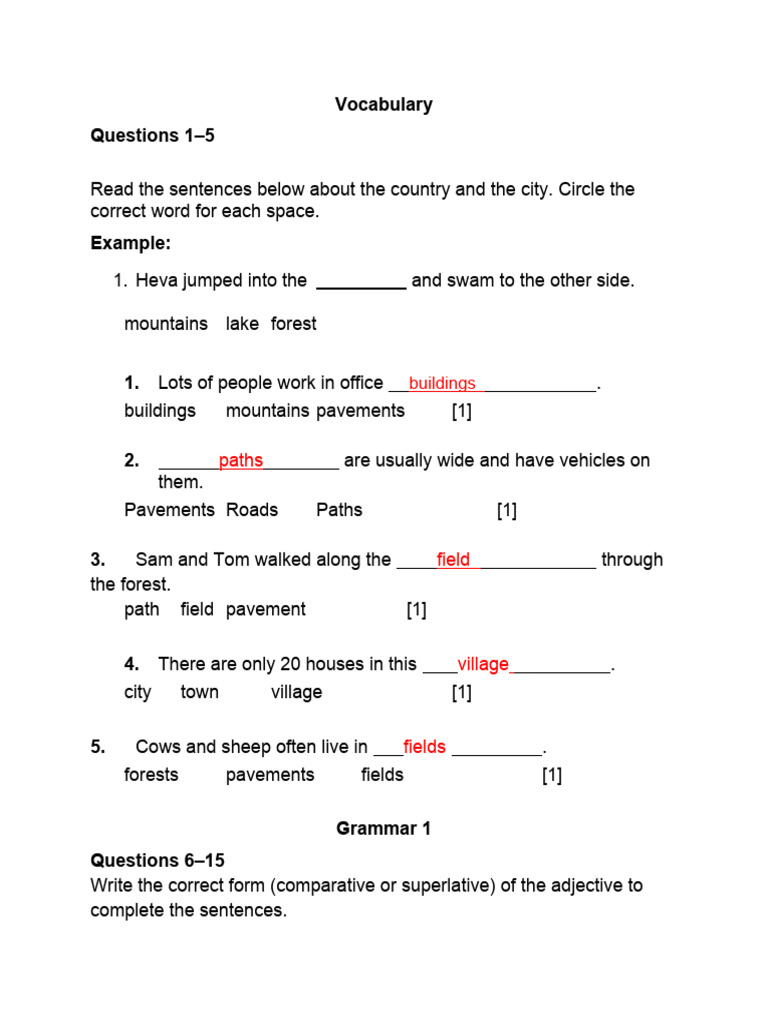 Anglu_testas | PDF | Linguistic Typology | Human Communication