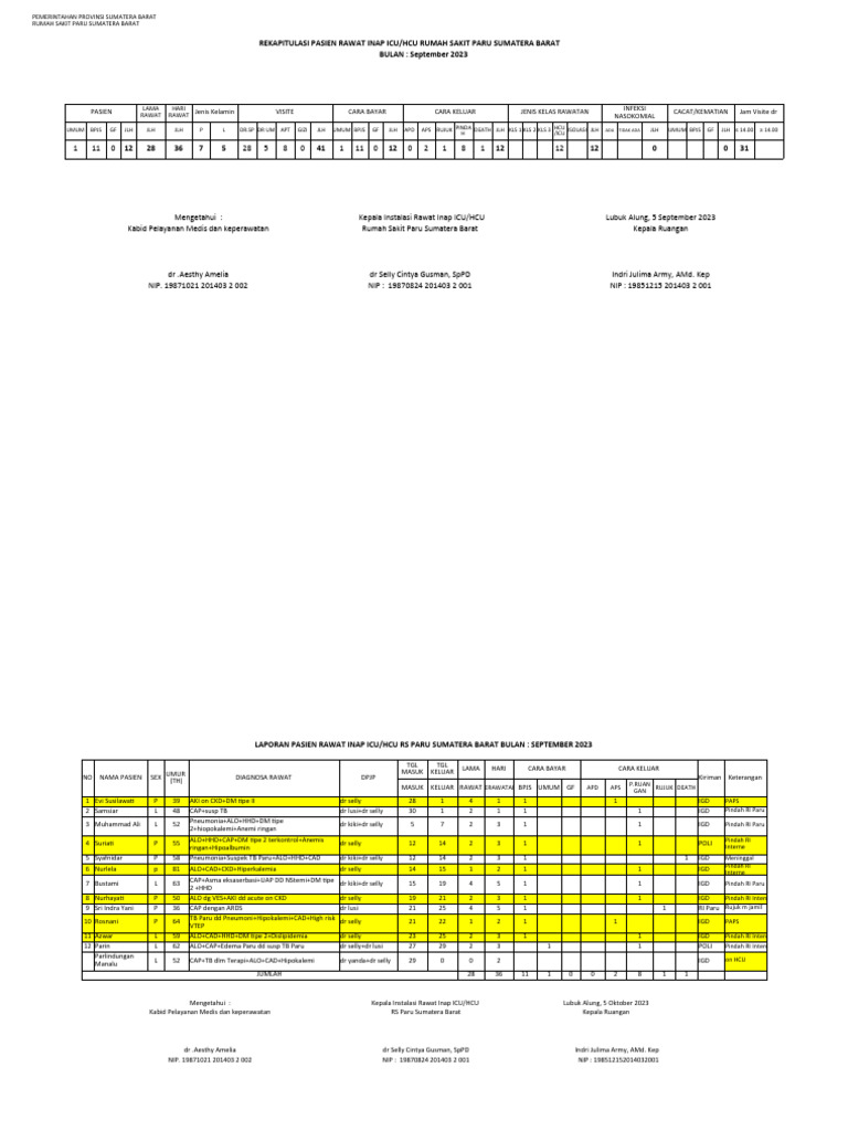 Laporan Bulanan Icu Hcu 2023 | PDF