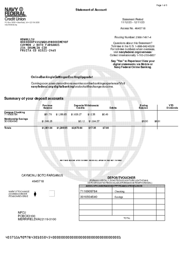 Navy Federal Bank Statement Summary | PDF