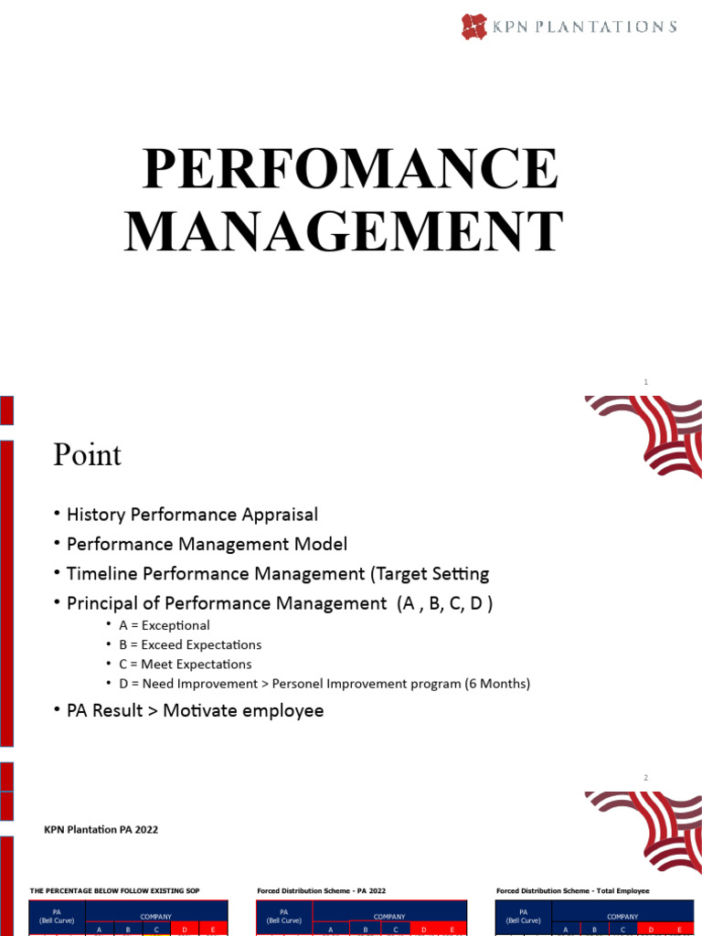 Perfomance Management | PDF