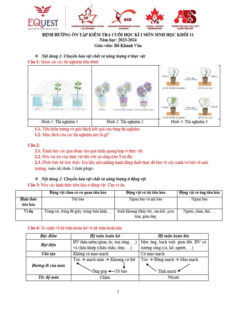 Định Hướng Ôn Tập Cuối HK I Sinh Học 11 - 23 24 | PDF