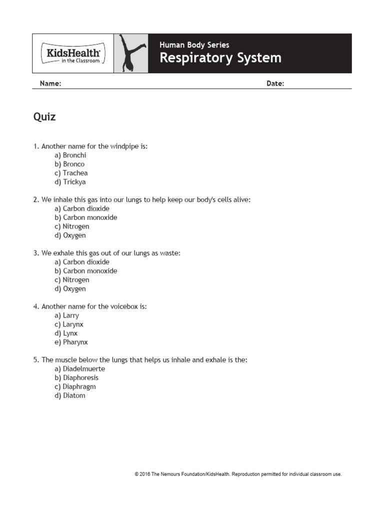Respiratory System Quiz for Kids | PDF | Foreign Language Studies ...
