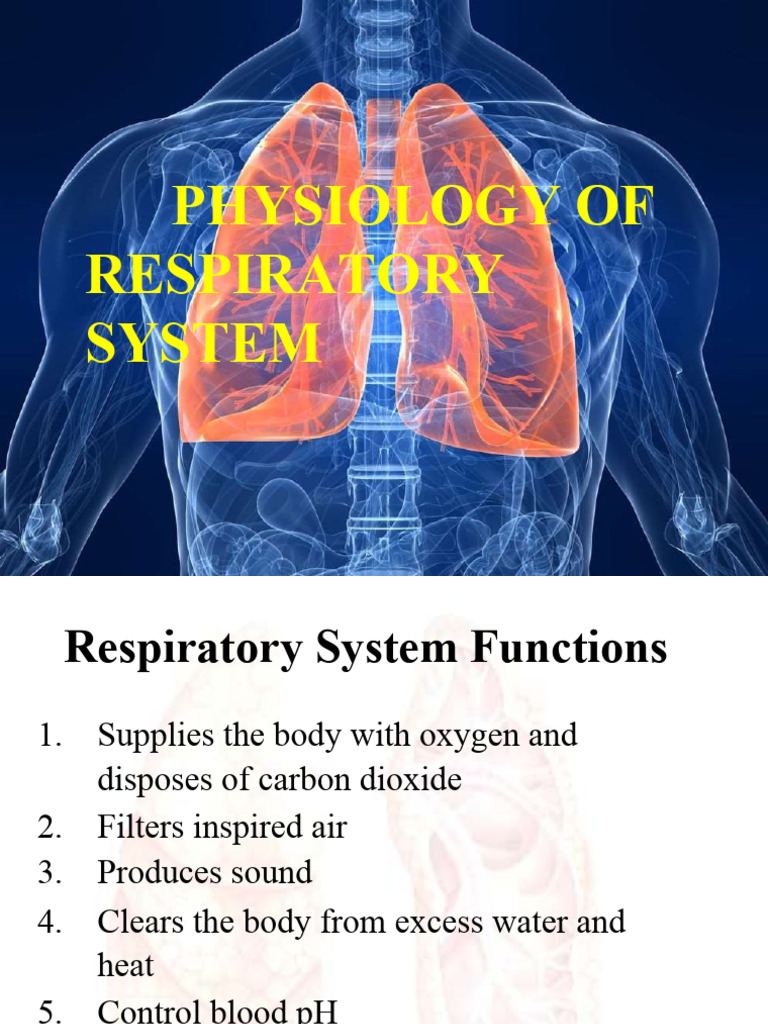 Respiratory System Physiology PDF | PDF | Exhalation | Breathing