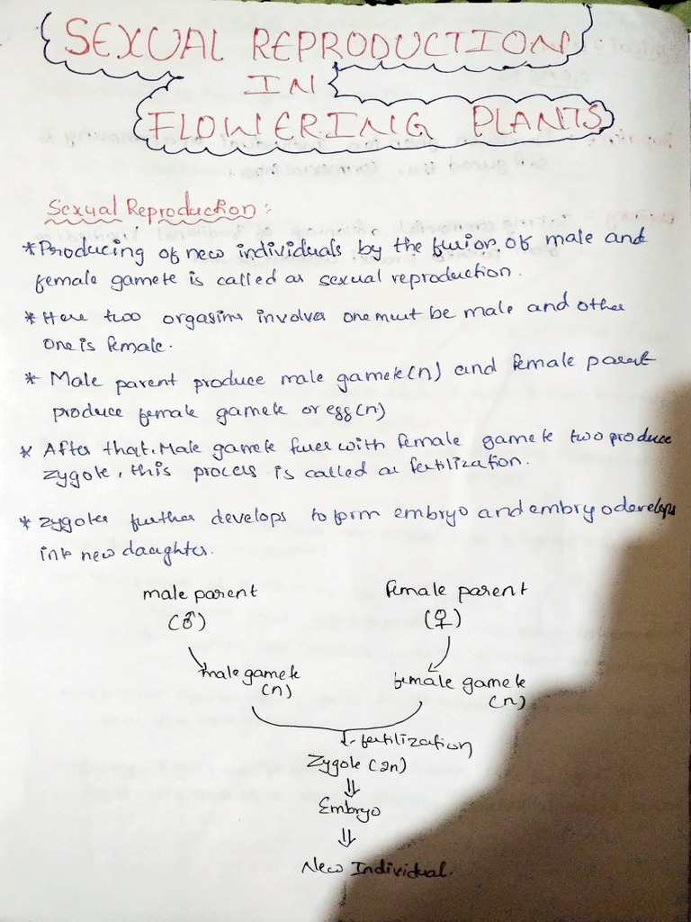 Sexual reproduction in flowering plants notes | PDF