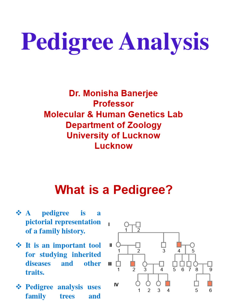 202003291612342405monisha Pedigree Analysis | PDF | Dominance (Genetics ...