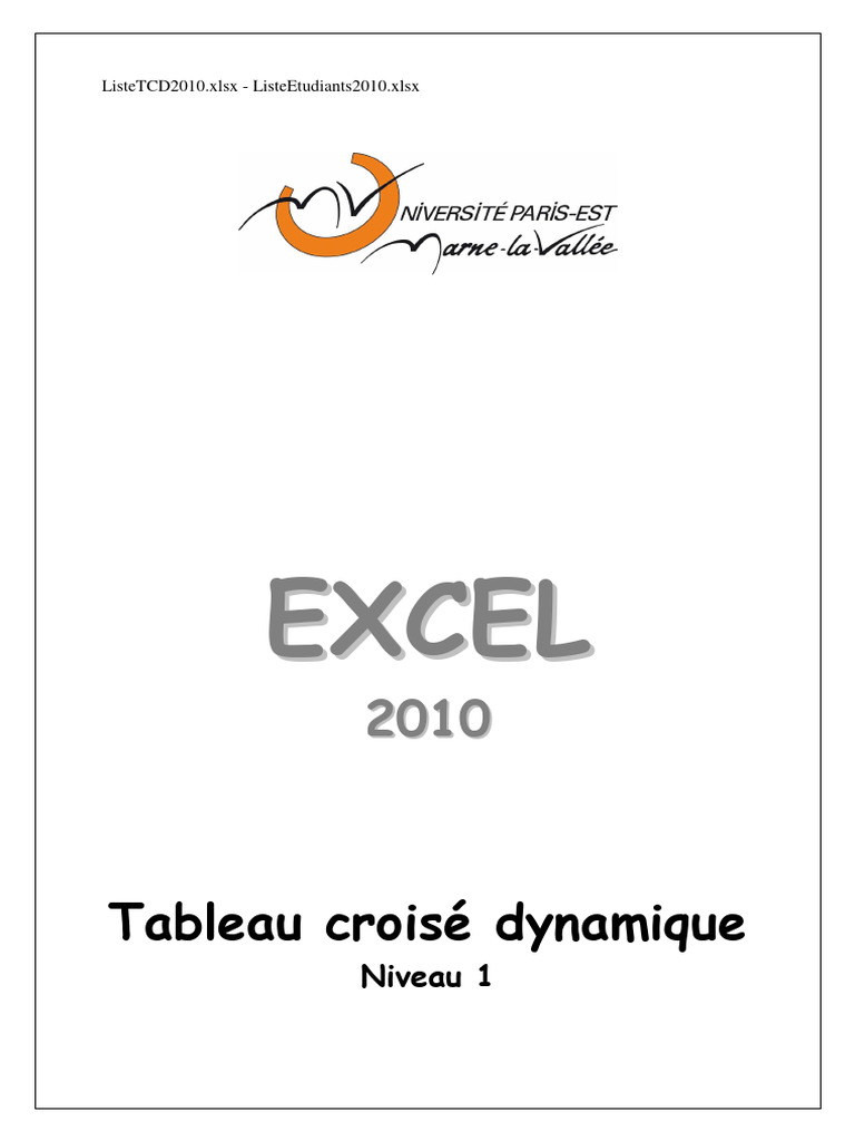 Excel2010 TableauCroise Niv1 2015janvier | PDF