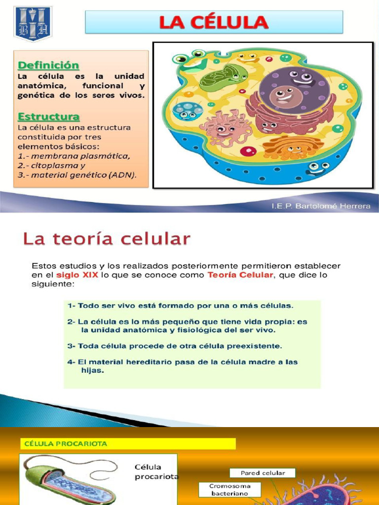 la celula | PDF
