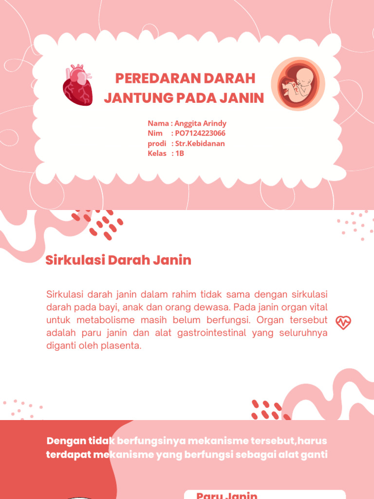 Anggita Arindy PPT Sirkulasi Darah Pada Janin | PDF