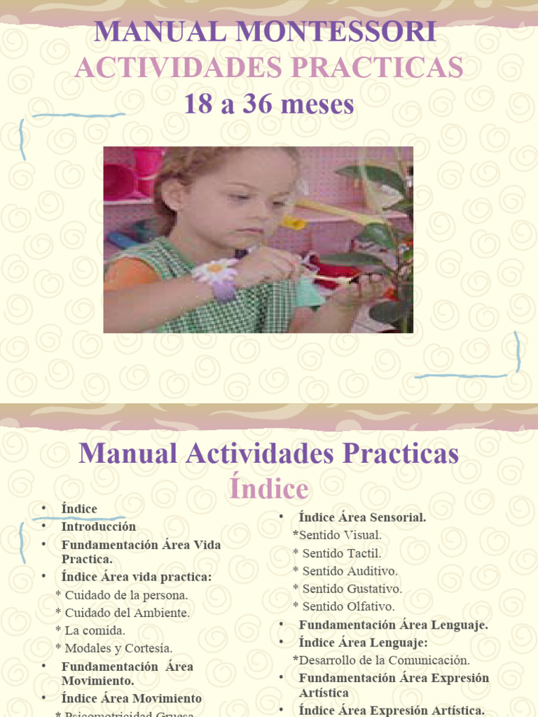 Actividades Montessori 18-36 meses | PDF | Educación Montessori | Agua