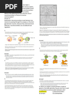 Ology List of Sciences | PDF | Cell Biology | Pathology