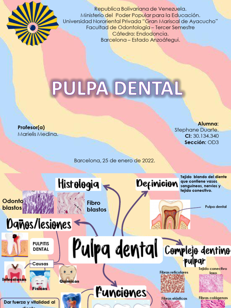 mapa mental pulpa dental | PDF