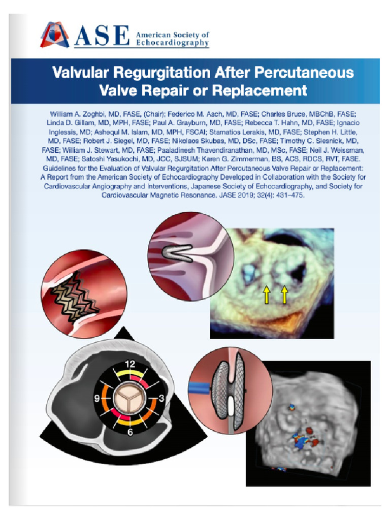 Echo Guidelines | PDF