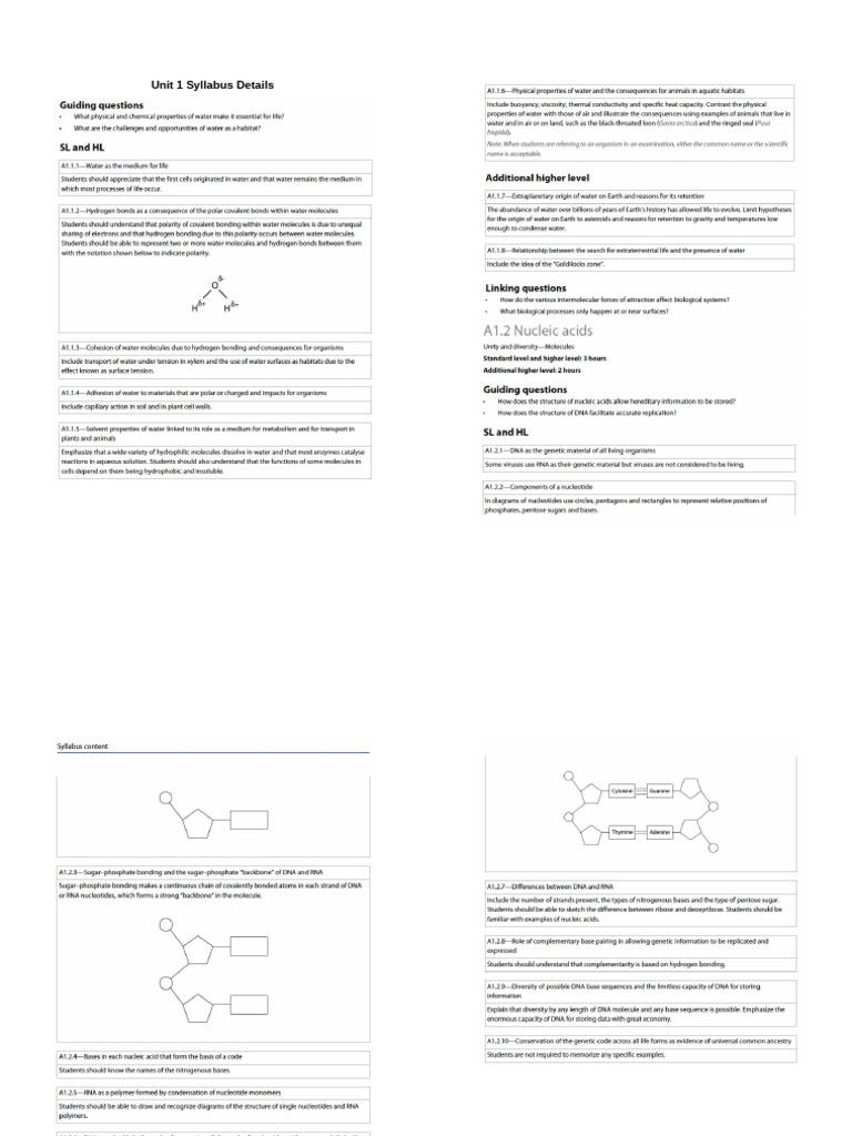 IB 2025 Biology Year 1 Semester 1 Syllabus Details | PDF
