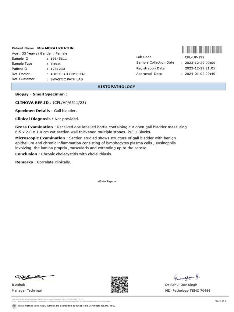 Report | PDF | Histopathology | Pathology