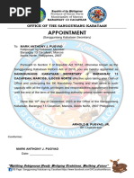 Videoke Curfew Ordinance 2024 | PDF | Local Ordinance | Government