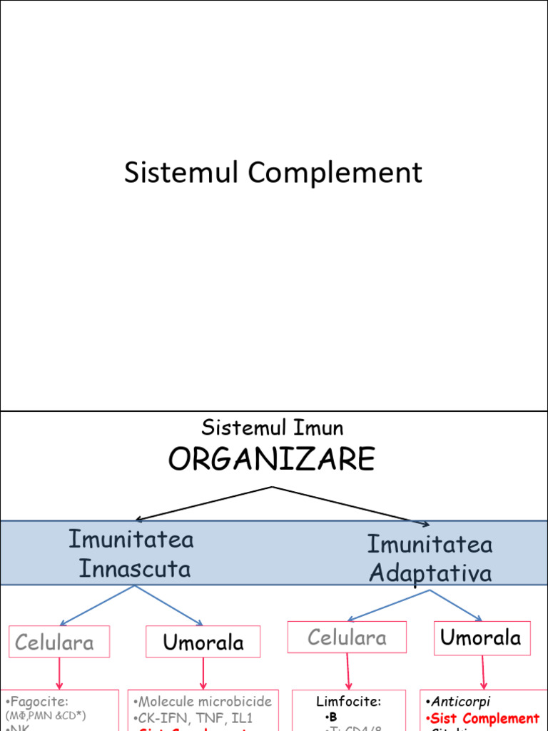 STUD - Complementul 2020 | PDF