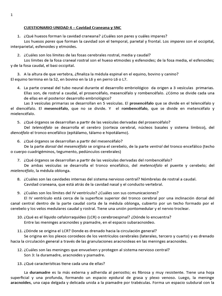 TP Anato 1 VET | PDF