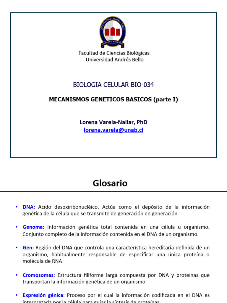 Introducción a la Biología Celular | PDF | Adn | Cromatina