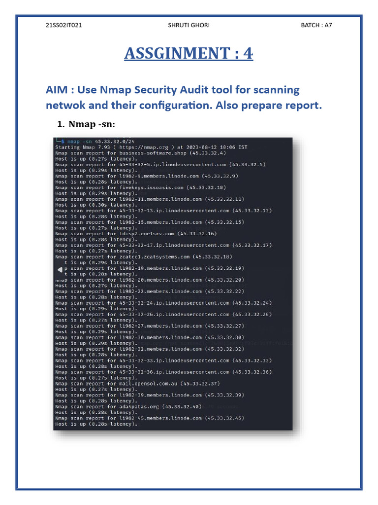 Nmap Security Audit Tool Report | PDF