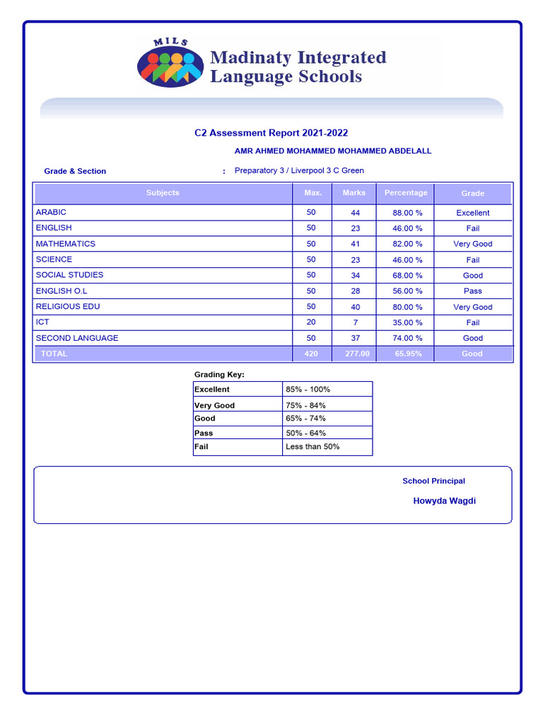 C2 Assessment Report | PDF