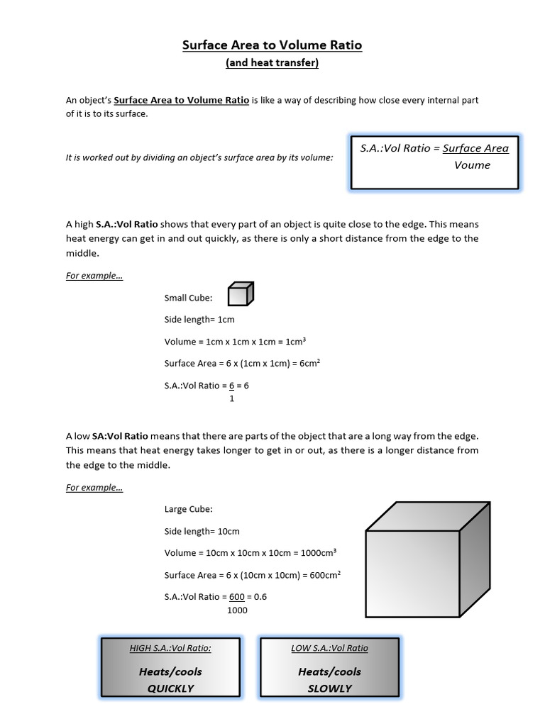 Understanding Surface Area to Volume Ratio | PDF | Surface Area ...