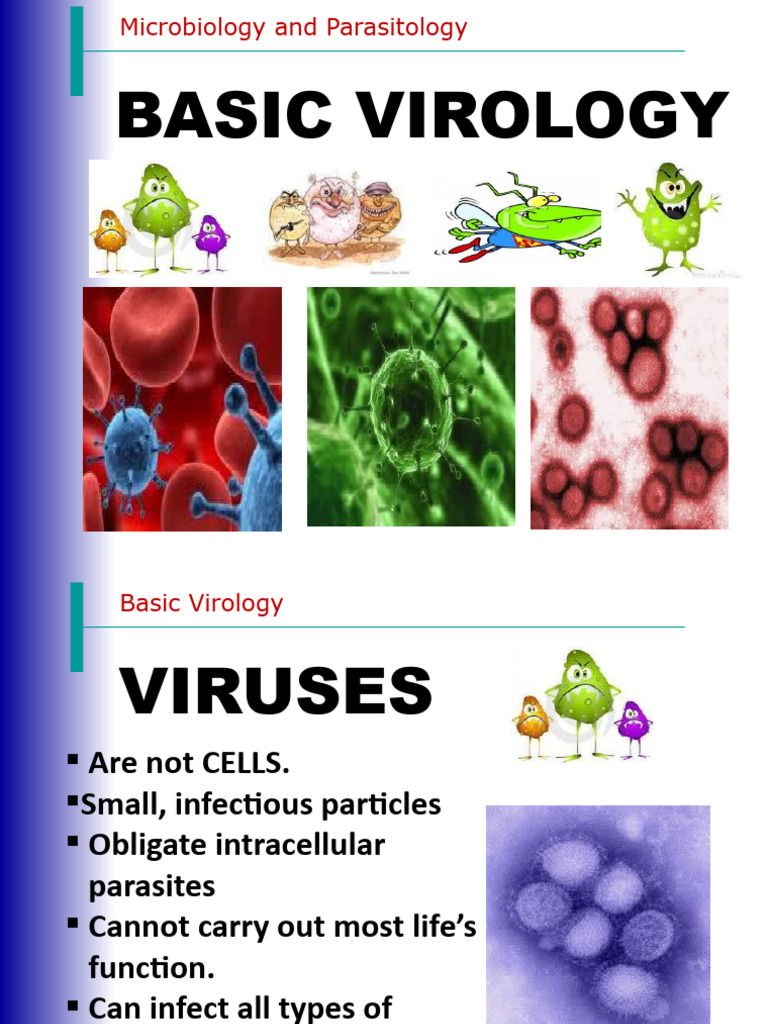 (Microbiology and Parasitology) Basic Virology | PDF | Virus | Virology
