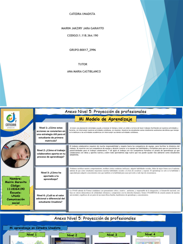 Anexo 5 - Nivel 5 Modelo de Aprendizaje | PDF | Aprendizaje | Ciencias del comportamiento