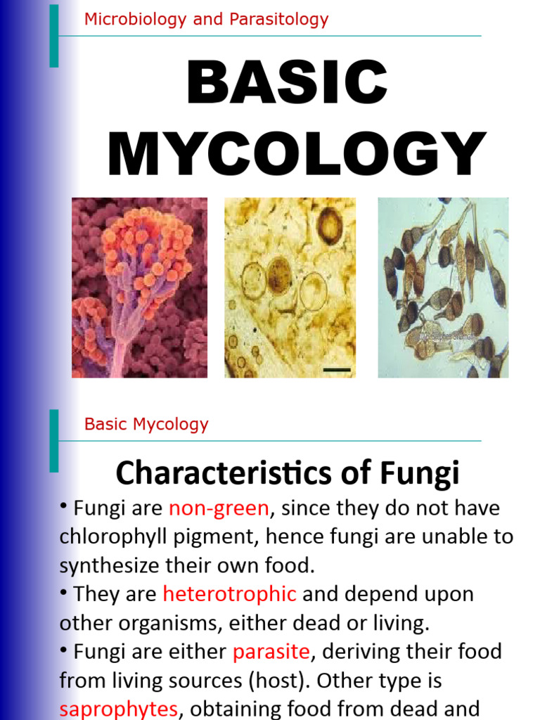 (Microbiology and Parasitology) Basic and Clinical Mycology | PDF