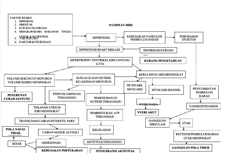 pdf-pathway-hhd_compress | PDF
