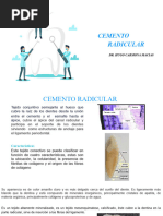 Tipos de Cemento Radicular: Acelular y Celular | PDF | Ramas de ...