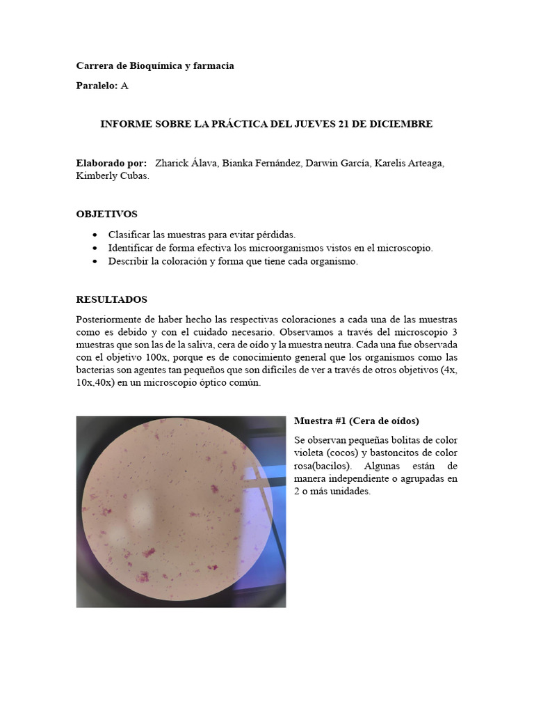 Informe 28 de Dic | PDF | Las bacterias | Microscopio