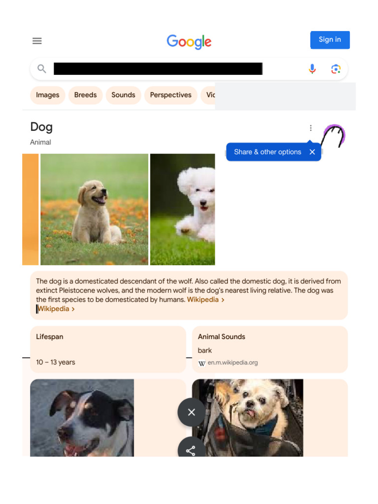 DG 2 | Download Free PDF | Dogs | Dog Breeds