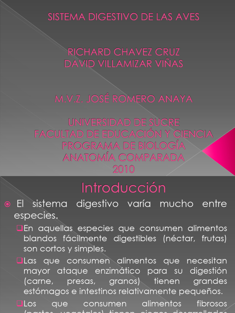 sistema-digestivo-de-las-aves-1285897412-phpapp02 | PDF | Digestión | Sistema digestivo humano