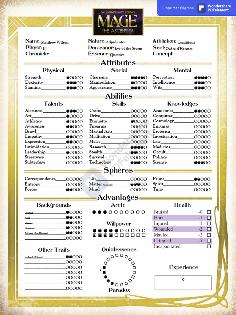 Fiche Perso Mage PJ | PDF