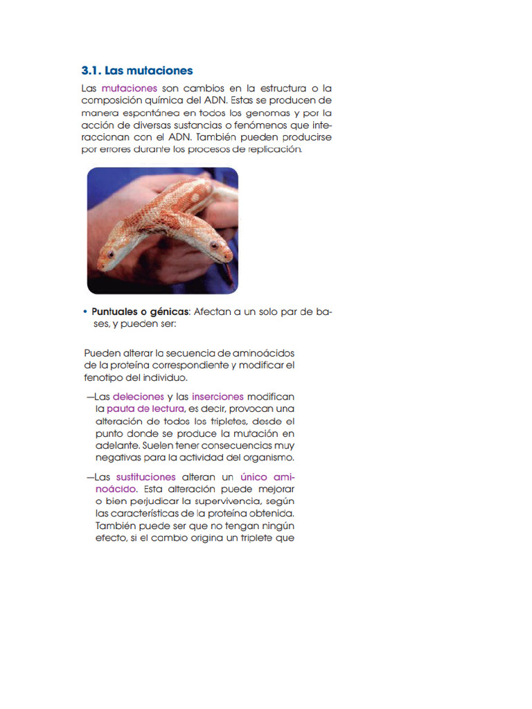 BIO 2do - Clase 01 - 08 - 2023 | PDF