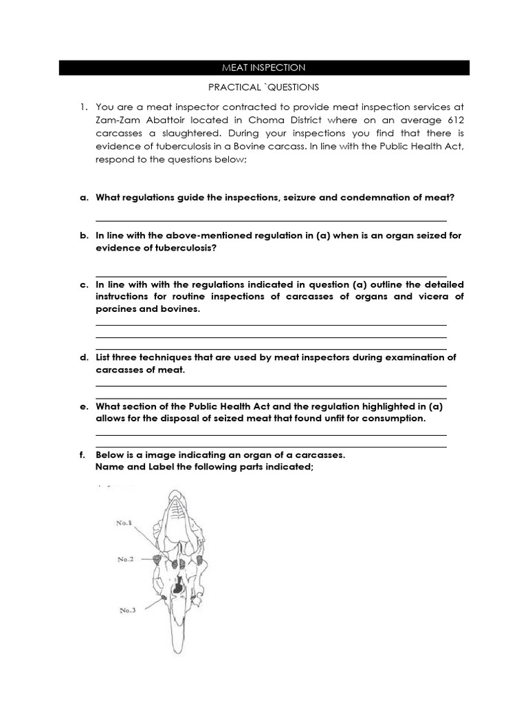 Meat Inspection Guidelines | PDF